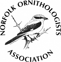 NOA Winter Newsletter – NOA – Holme