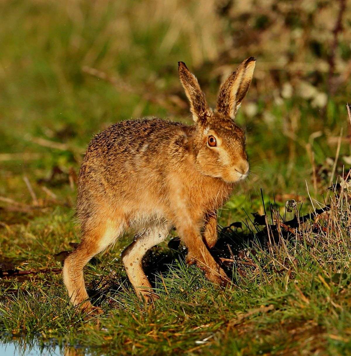 NEWS / EVENTS - NOA - Holme