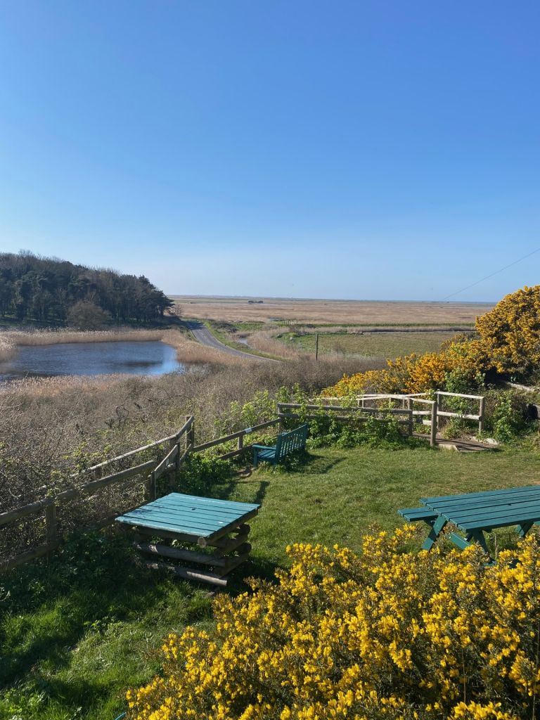 Walsey Hills - NOA - Holme