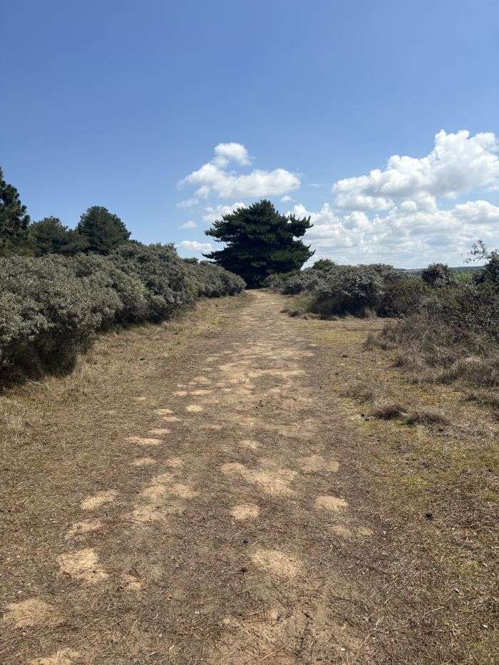 Holme Bird Observatory - NOA - Holme