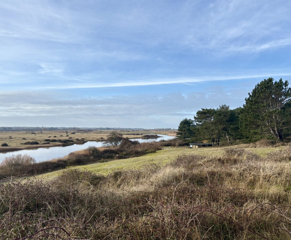 Holme Bird Observatory - NOA - Holme